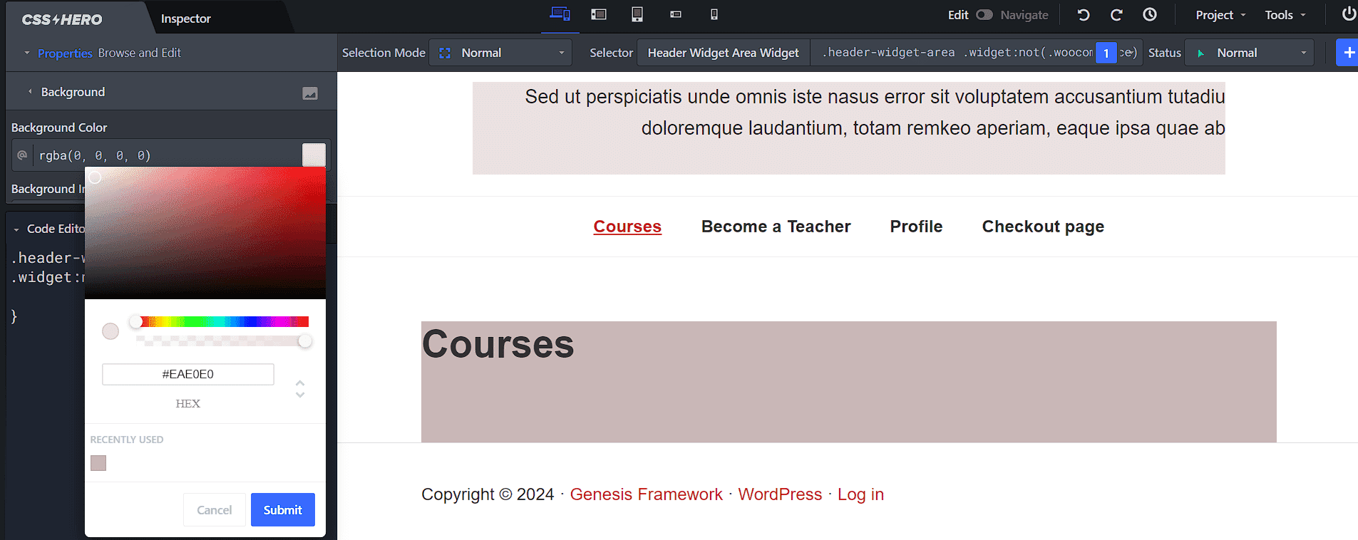 Add Custom CSS in Wordpress - AP Blog